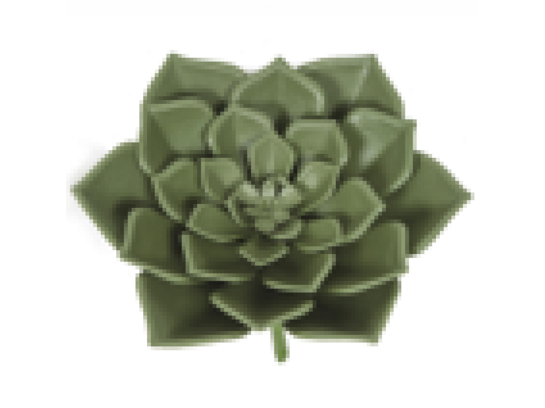 7" POLYBLEND ECHEVERIA