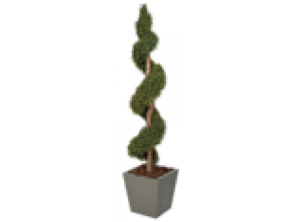 6' POLYBLEND POLYCAISE SPIRAL TOPIARY